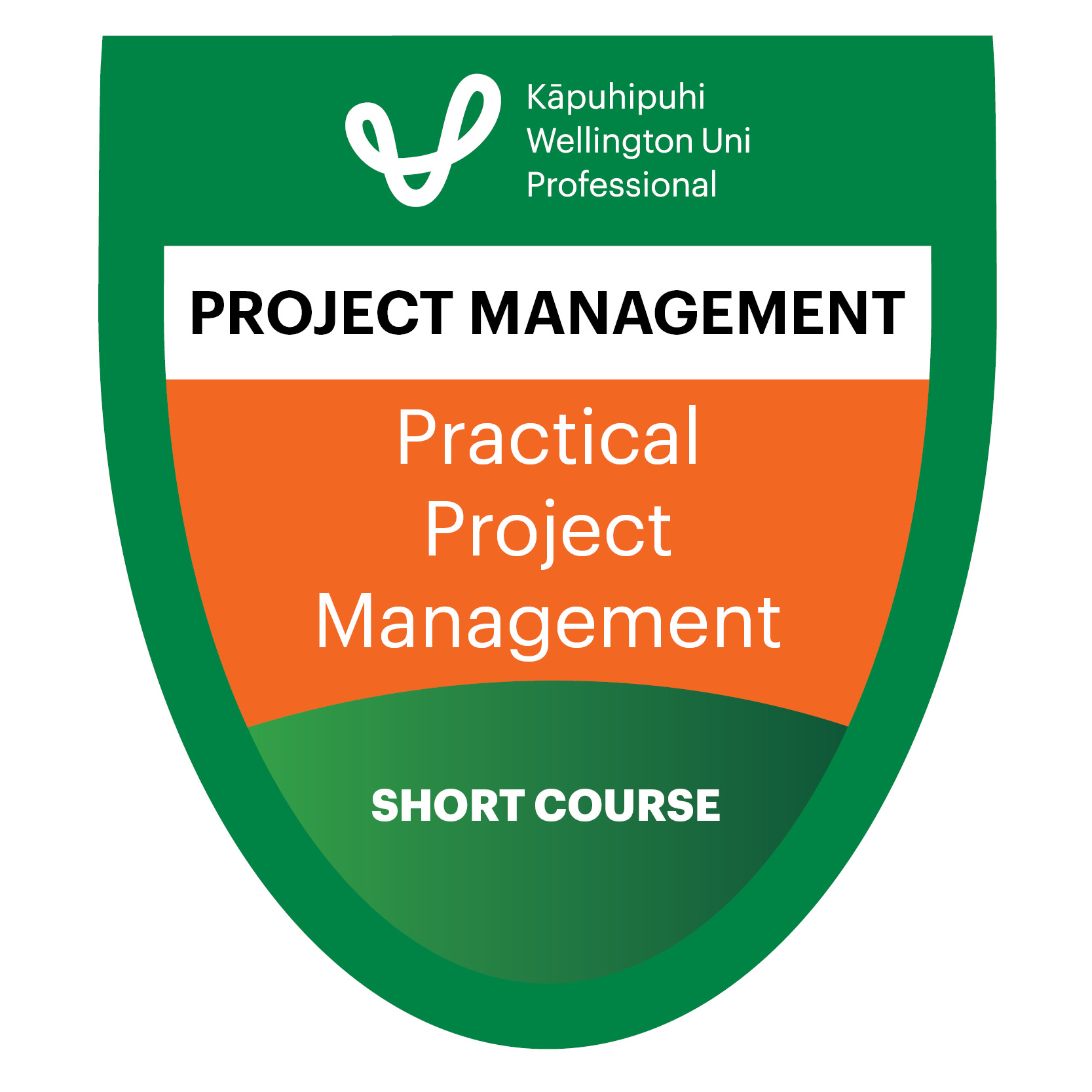 Practical Project Management - Wellington Uni Professional Learning